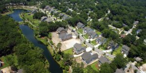 The Dunlin | The Beach Co.